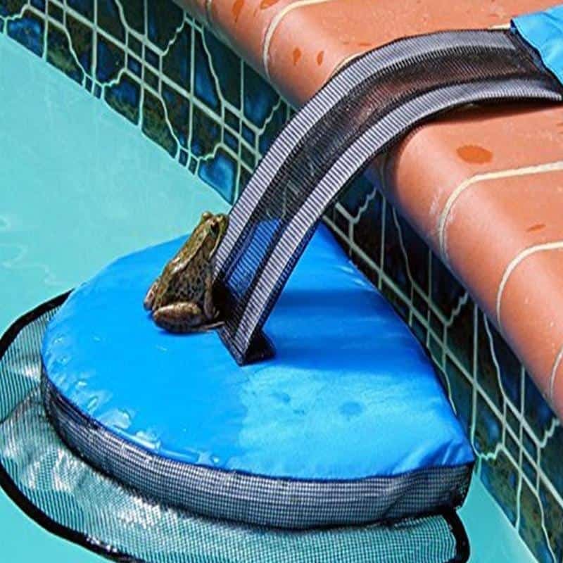 Mini Pool Ramp | Etobillion